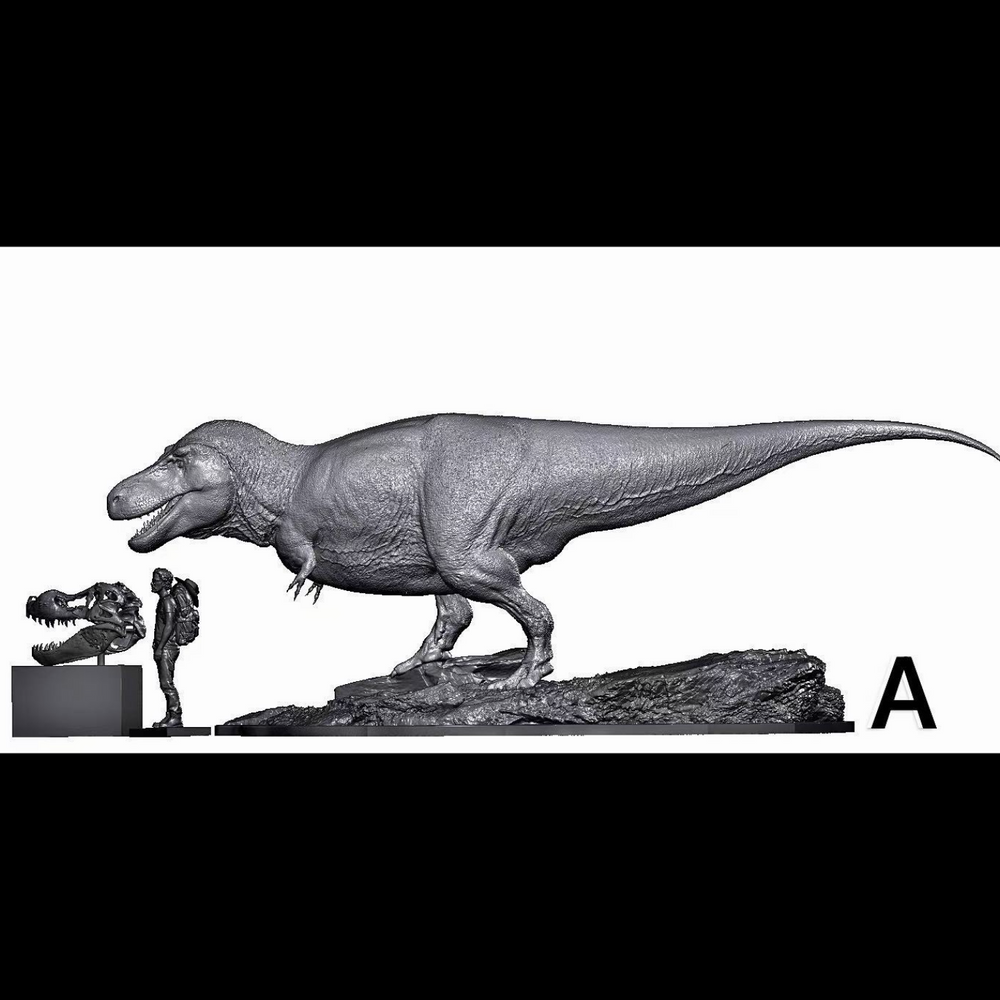 Tyrannosaurus rex SUE Statue Model Kit 1:10 1:15 1:18 Scale Art&Evolut